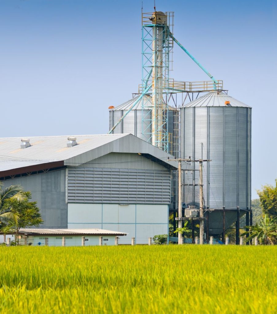 Steam Turbine For Rice-Mill Industry | Triveni Turbines